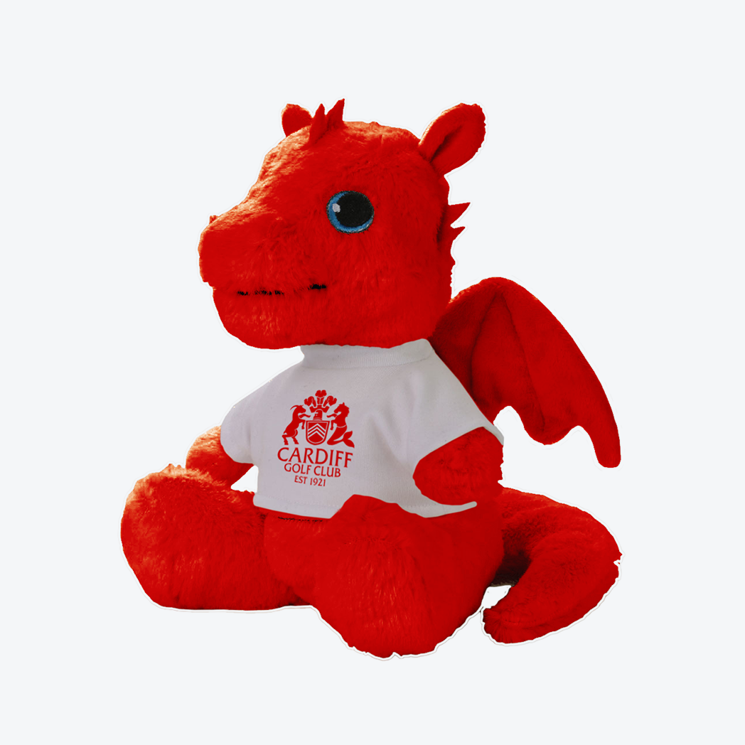 Dewi the Dragon – Asbri Golf